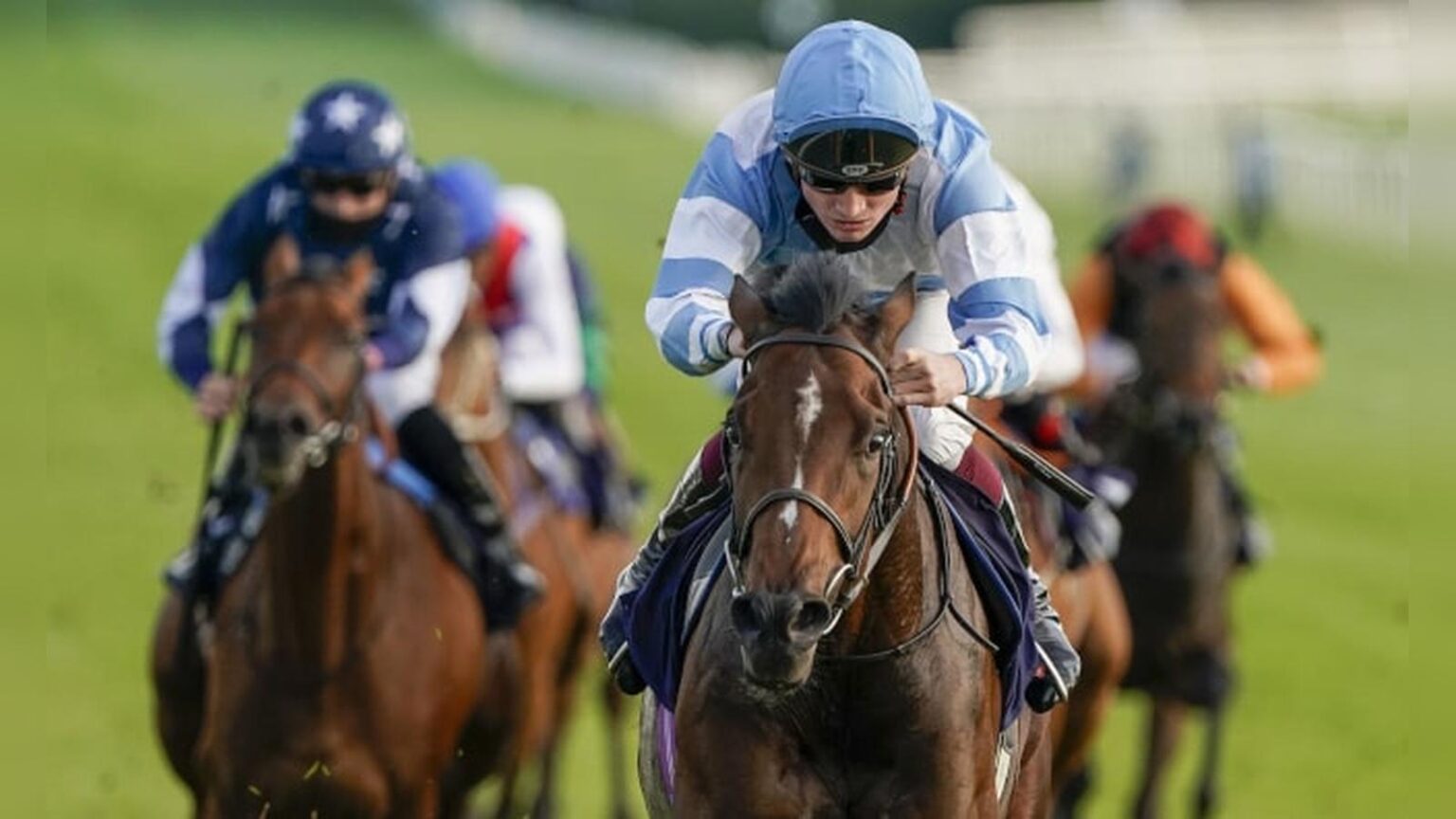 Today's Horse Racing Betting Tips - Expert Horse Racing Picks For ...