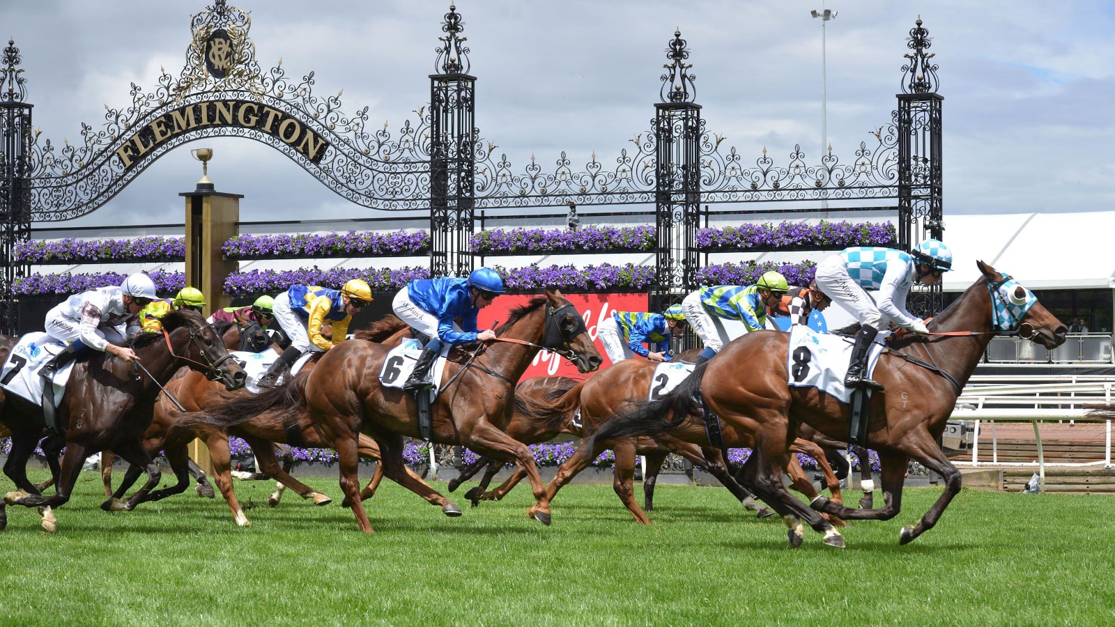 Betfair Melbourne Cup Betting Markets - How to Sign Up and Bet at ...